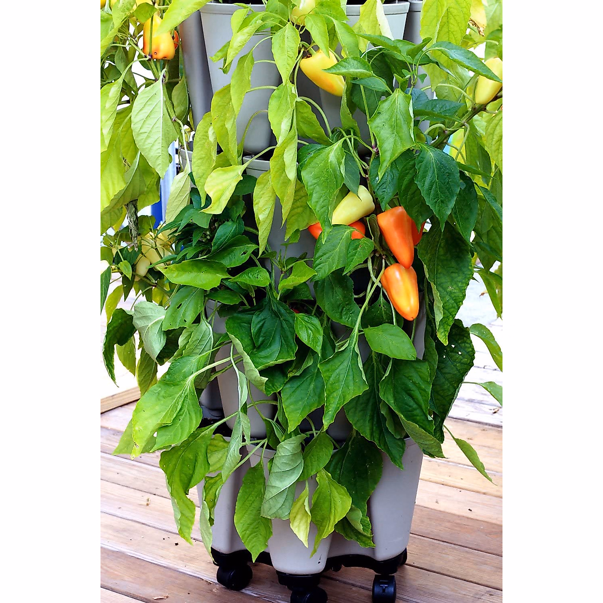 Greenstalk Mover Vertical Planters