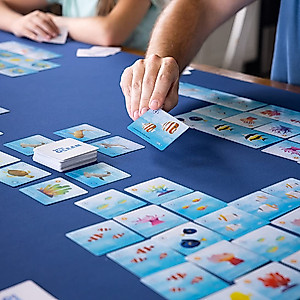 Open Ocean Card Game | Family Friendly Drafting + Tile Placement Game | Enjoyed by Kids, Teens, and Adults | Ideal for 1-5 Players | 8+