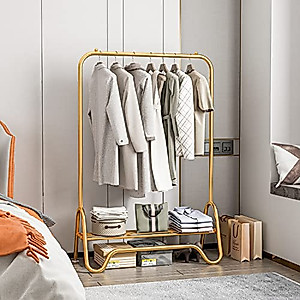 HoYoCaT 2-Styles Clothes Rack Metal Garment Rack Heavy-duty Clothing Rack with Shoes Shelf Gold Garment Rack…