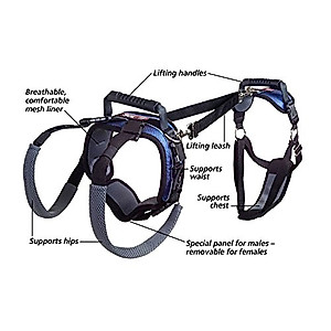PetSafe CareLift Support Harness - Full Body Dog Lift Harness with Handle & Shoulder Sling - Great for Elderly Dogs, Hip Dysplasia, ACL Surgery - Designed to Help Them Up - Adjustable - Large