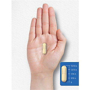 Carlyle Multi Collagen Protein Capsules 2000mg | 300 Count | Type I, II, III, V, X | Collagen Peptide Pills | Keto & Paleo Friendly, Gluten Free Supplement