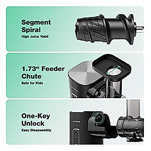 BLITZHOME Cold Press Juicer machines, 2-Speed Modes Slow Masticating Juicer for Vegetable and Fruit, with Quiet Motor/Reverse Function/Wide 1.73" Feed Chute, Easy to Clean