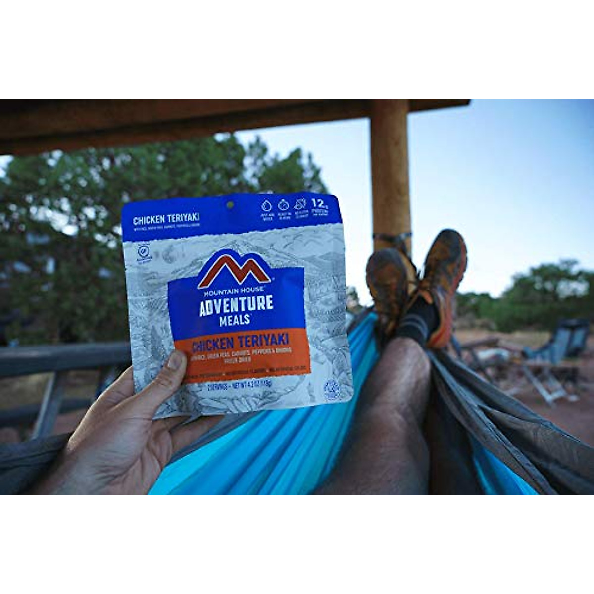 Mountain House Chicken Teriyaki with Rice | Freeze Dried Backpacking & Camping Food | 2 Servings | Gluten-Free