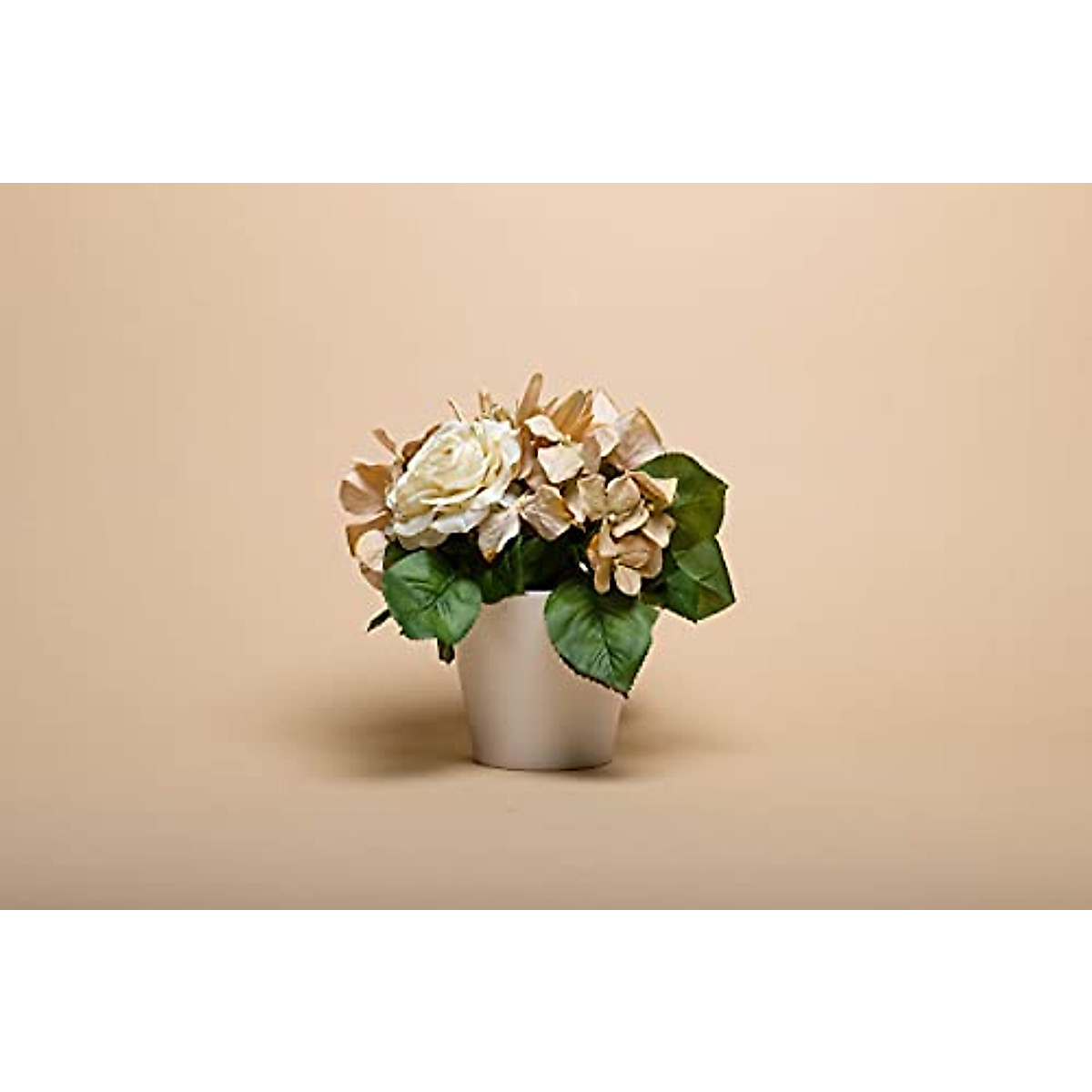 Superior Seamless Photography Background Paper, #66 Wheat 53 inches Wide x 16.5 feet Long (Made in USA)