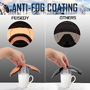 FEISEDY Goggles OTG - Over Glasses Motorcycle/Ski/Snowmobile Goggles for Men Women & Youth - 100% UV Protection B2960