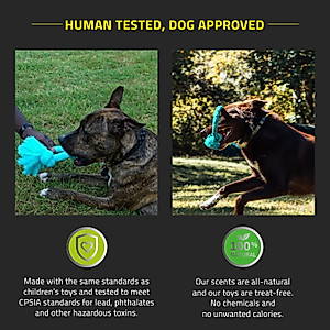 Playology Dri-Tech Ring Peanut Butter Dog Toy Large