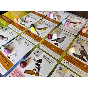 Stonemaier Games: Wingspan Speckled Eggs | Add to Wingspan (Base Game or Asia) | Enhance Your Wingspan Gameplay | 100 Speckled Eggs in 10