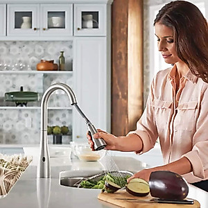 Replacement Hose kit for Moen Kitchen Faucets (Pulldown 150259)