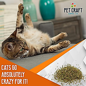 Pet Craft Supply Premium Maximum Potent All Natural Catnip for Cats USA Grown & Harvested Large 3 oz Resealable Canister or 8 oz Value Spray Bottle Great for Training Redirecting Bad Behaviors