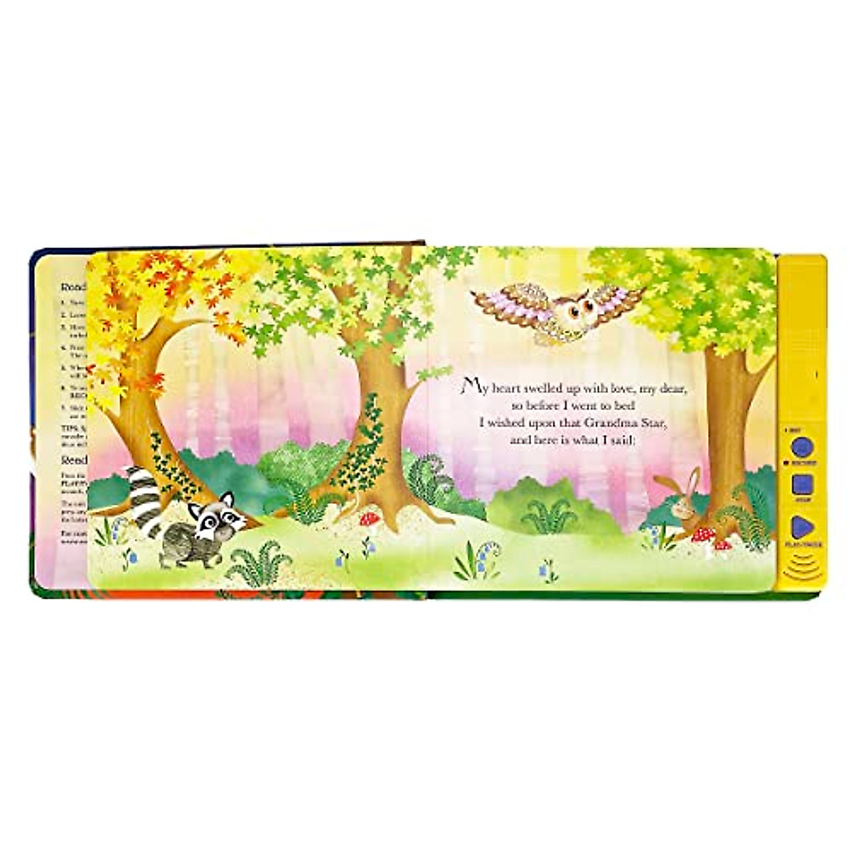 Grandma Wishes: Recordable Keepsake Board Book - Record Your Voice Reading the Story!