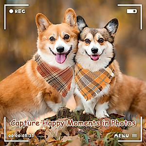 Vivifying Thanksgiving Dog Bandana, 2 Pack Halloween Fall Classic Plaid Dog Scarf with Tassels Edges, Funny Dog Apparel & Accessories Costume for Photo Prop, and Party Decor (Large, Yellow&Orange)