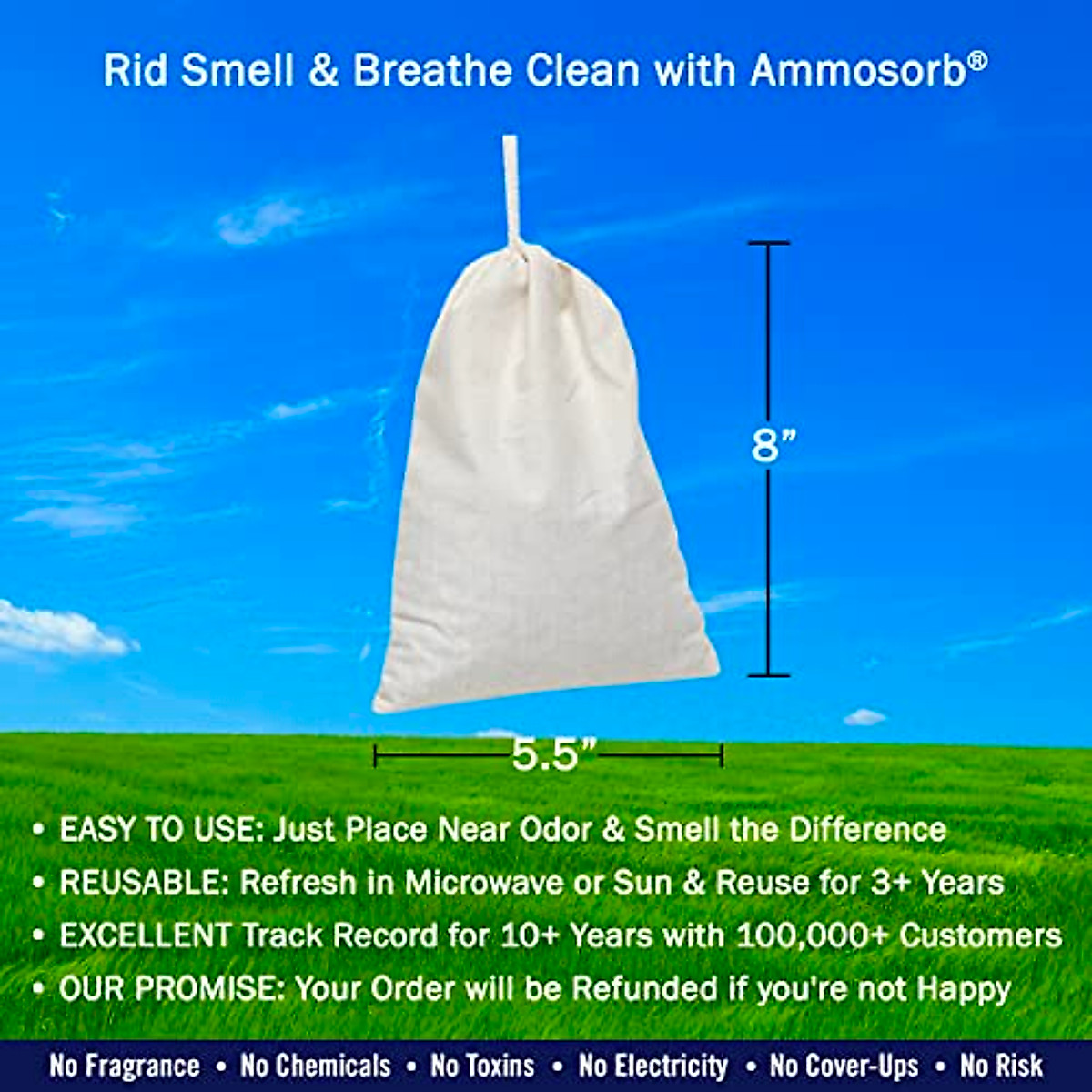 AMMOSORB Reusable Ammonia Odor Eliminator Deodorizer Pouch: Treats 150 Sq. Ft.