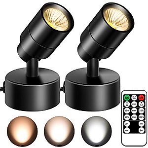 FZWLE 2 Pack Dimmable Indoor Spot Lights with Timer & Remote, 3W LED Up Lights, 3000K/4000K/5000K Adjustable, Ideal Indoor Accent & Plant Spotlight