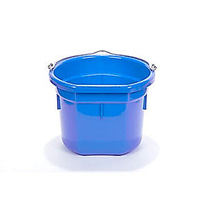 Little Giant® Flat Back Plastic Animal Feed Bucket | Animal Feed Bucket with Metal Handle | Horse Feed & Water Bucket | 8 Quarts | Blue