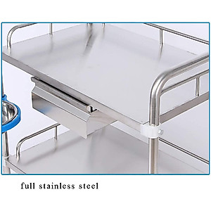 Cart Trolley, Lab Clinic Serving Cart Trolley 2-Tier Medical Trolley Stainless Steel Treatment Trolley/Medical Laboratory Equipment Carts/Beauty Salon Tool Car，L50xW40xH86cm The Taste of Home