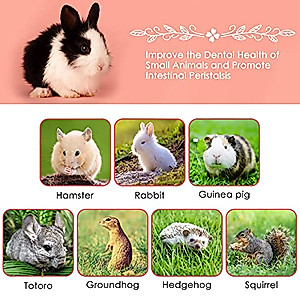 ERKOON 300g or 500g Natural Apple Sticks Small Animals Molar Chew Toys Apple Branch Chew Treats for Hamster Rabbit Chinchilla Bunny Guinea Pig Squirrel 