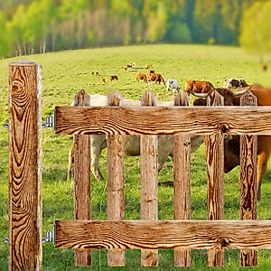 Insaga 8'' J Bolt Gate Hinge, Heavy Duty Gate Hinge for Wood Fence, One-Piece Molding Gate Hinge for Metal Gate, 304 Stainless Steel Welded Hinge for Farm Gate, 2Pack