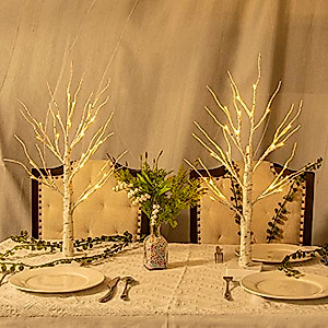Vanthylit Tabletop Christmas Tree, White Birch Tree with LED Lights- Set of 2, Warm White Small Tree Lights Battery Powered Timer, Lighted Tree for Mantle Christmas Decorations (2FT, 24LED)