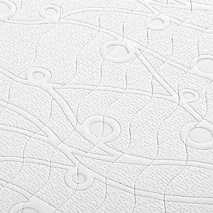 SLEEPLACE 10 Inch Encased Coil Hybrid Spring Mattress OM02 (Queen)