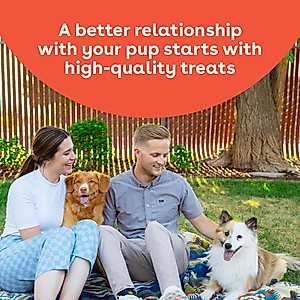 Pupford Freeze Dried Chicken Hearts Treat for Dogs & Puppies - Healthy, Natural, Single Ingredient Dog Treats - Made in USA (4.25 oz)