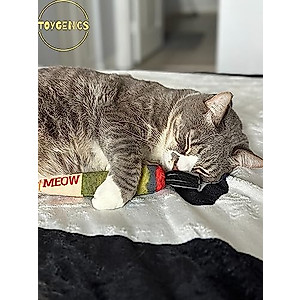 TOYGENICS - Doobie Catnip Toys for Indoor Cats w/Crinkly, Durable Material & Interactive String Ends for Cat Enrichment & Cat Teeth Cleaning, The Best-Kitten Toys-Cat Toys-Catnip Toy