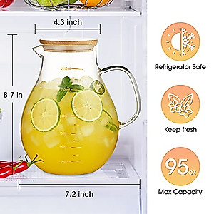 95 Ounce Large Glass Pitcher with Lid and Handle - Heat Resistant Borosilicate Beverage Carafe for Juice and Iced Tea