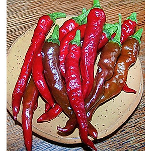 30+ Italian Jimmy Nardello's Sweet 12" Long Pepper Seeds, Heirloom Non-GMO, Prolific, Juicy, Delicious! from USA