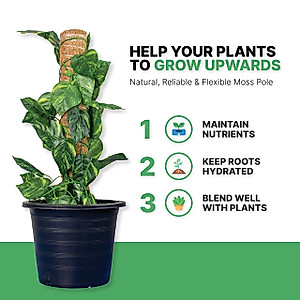 Rossesie 29-inch Moss Pole for Plants Monstera – 2 Extendable Coco Coir Support Stakes for Indoor Potted Plants - Moss Poles for Climbing Plants to Grow Upward with 2 x 47'' Twist Tie