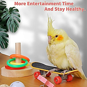 Bird Toys for Parakeets,5pcs Parrot Toys Set （Include Bird Basketball Toy、Bird Skateboard、Bird Stacking Toy、Parrot Wooden Block Puzzles Toy、Small Sepak Takraw）,Parakeet Toys、for Bird Training Toys12