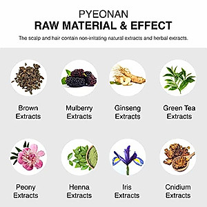 PYEONAN Instant Permanent Hair Dye Shampoo - Easy & Fast Hair Coloring for Men Women, Natural Black Hair Color, 5 PCS (Brown)