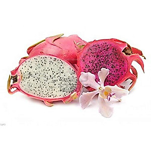 1214-Dragon Fruit, Mixed Red-White (Pitaya Blanca,roja) Seeds by Robsrareandgiantseeds UPC0764425788676 Non-GMO,Organic,Historic Plants, Bonsai, Tropical Fruit,Cactus, Betacyanins Package of 15 Seeds