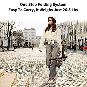 VOBETSCOOTER, Top Speed 13MPH,13Mile,250W Motor,6.5Inch Honeycomb Solid Tires,Foldable,Lightweight Electric Scooter,Suitable for Teens,13 +,Load 190 LBS