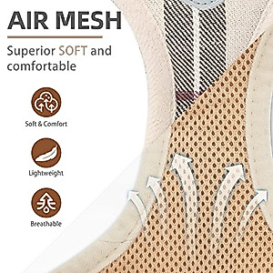 PUPTECK Adjustable Dog Harness Collar and Leash Set Step in No Pull Pet Harness for Small Medium Dogs Puppy and Cats Outdoor Walking Running, Soft Mesh Padded Reflective Vest Harnesses, Beige S