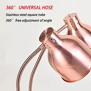 vhdurike 2-Head Food Warming Light, Countertop Food Heat Lamp, Commercial Food Warmer, Stainless Steel Catering Food Warming Lamp for Restaurant Kitchen,Gold