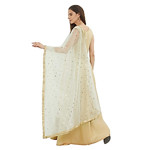 DUPATTA BAZAAR Women's Embellished Off White Net Dupatta