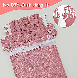 1st Birthday Baby Photo Banner, Happy Birthday Banner 17pcs First Birthday Decorations for Girl Newborn to 12 Months, First Birthday Photo Banner Garland Bunting with ONE Cake Topper, Rose Gold