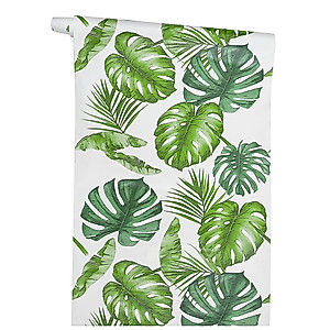 Self Adhesive Green Palm Leaf Shelf Liner Contact Paper Decorative Peel and Stick Tropical Wallpaper Cabinets Dresser Drawer Table Walls Furniture Sticker 17.5X117 Inches