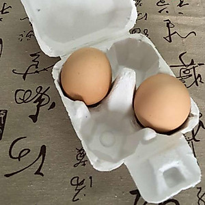 Yardwe 10Pcs Paper Egg Cartons, 4 Pulp Egg Cartons Egg Holders Eggs Storage Containers Egg Trays for Kitchen Farm Market Fridge Transport, White