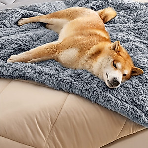 Bedsure Waterproof Dog Blankets for Large Dogs - Calming Cat Blanket for Couch Protector Washable, Long Faux Fur Pet Throw Blanket for Puppy, Reversible Furniture Protection, 40"x50", Grey