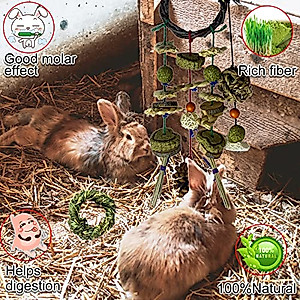 Rabbit Chew Toys for Teeth, Handmade Rabbit Toys for Bunnies, Natural Guinea Pig Chew Toys with Balls, Timothy Hay, Apple Wood for Chinchilla Gerbil