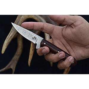 Knives Ranch 7" Fixed Blade EDC Knife with Sheath - Damascus Steel Hunting Knife - Full Tang - Rosewood Handle - Horizontal Carry Leather Sheath Snug Fit (3056-IRW)