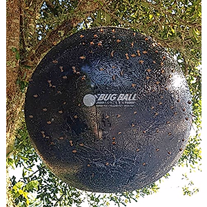 Bug Ball 3 Pack Deluxe Kit Complete- Odorless Eco-Friendly Biting Fly and Insect Killer with NO Pesticides or Electricity Needed, Kid and Pet Safe