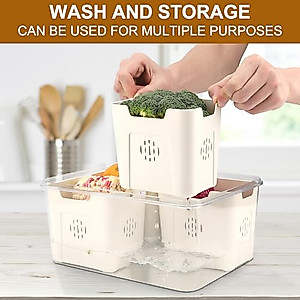 Airtight Fruit Storage Containers for Fridge with Lids & Handle, BPA-Free Food Storage Container with 4 Removable Colanders, Berry Vegetable Fresh Produce Saver, Refrigerator Organizer Bins