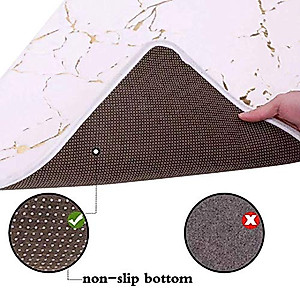 Flixsonic Bathroom mat Luxurious Ultra Soft Non-Slip Absorbent Quick Dry ，Machine Washable Shower Rug, Perfect mat for Bathroom,Kitchen, and Bedroom Decor (19.7 x 31.5 Inch, White)