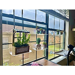 NPPLUS Acrylic Suction Cup Shelf, Tool Free Window Plant Shelves With Legs, 12 Inches Clear Acrylic Indoor Ledge Garden Stand with for Growing Herbs, Microgreens, Succulents,Etc.(1 Pack)