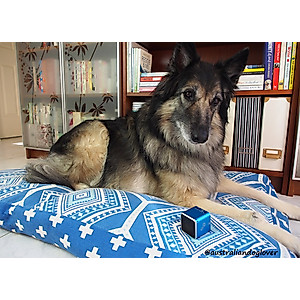 Pet Acoustics Canine Calm Music