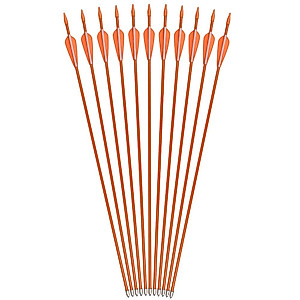 NIKA ARCHERY Fiberglass Arrows Youth Kids Practise Recurve Bows Compound Bow Shooting 12 pcs 24 inch Shafts