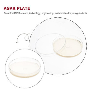 ULTECHNOVO 10 pcs Nutrient agar Plate agar Petri Dishes Petri Dishes with lids pre Poured agar Plates Laboratory Accessory prepoured Petri Dish Mushroom agar Plates Child Stripe Specimen