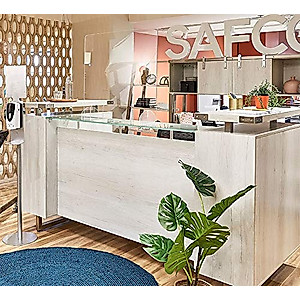 Safco Products Protective Acrylic Portable Sneeze Guard, Freestanding Cough & Sneeze Shield for Workers, Receptionists & Customers, 29.5"W x 23.5"H, Sturdy 0.236" Material Thickness