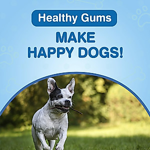 Follie 'n' Friends Dental Formula Water Additive - Combat Plaque and Tartar, Eliminate Bad Breath, Support Overall Gum Health - Easy to Use